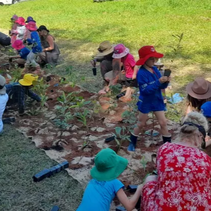 National Tree Day fun for kids